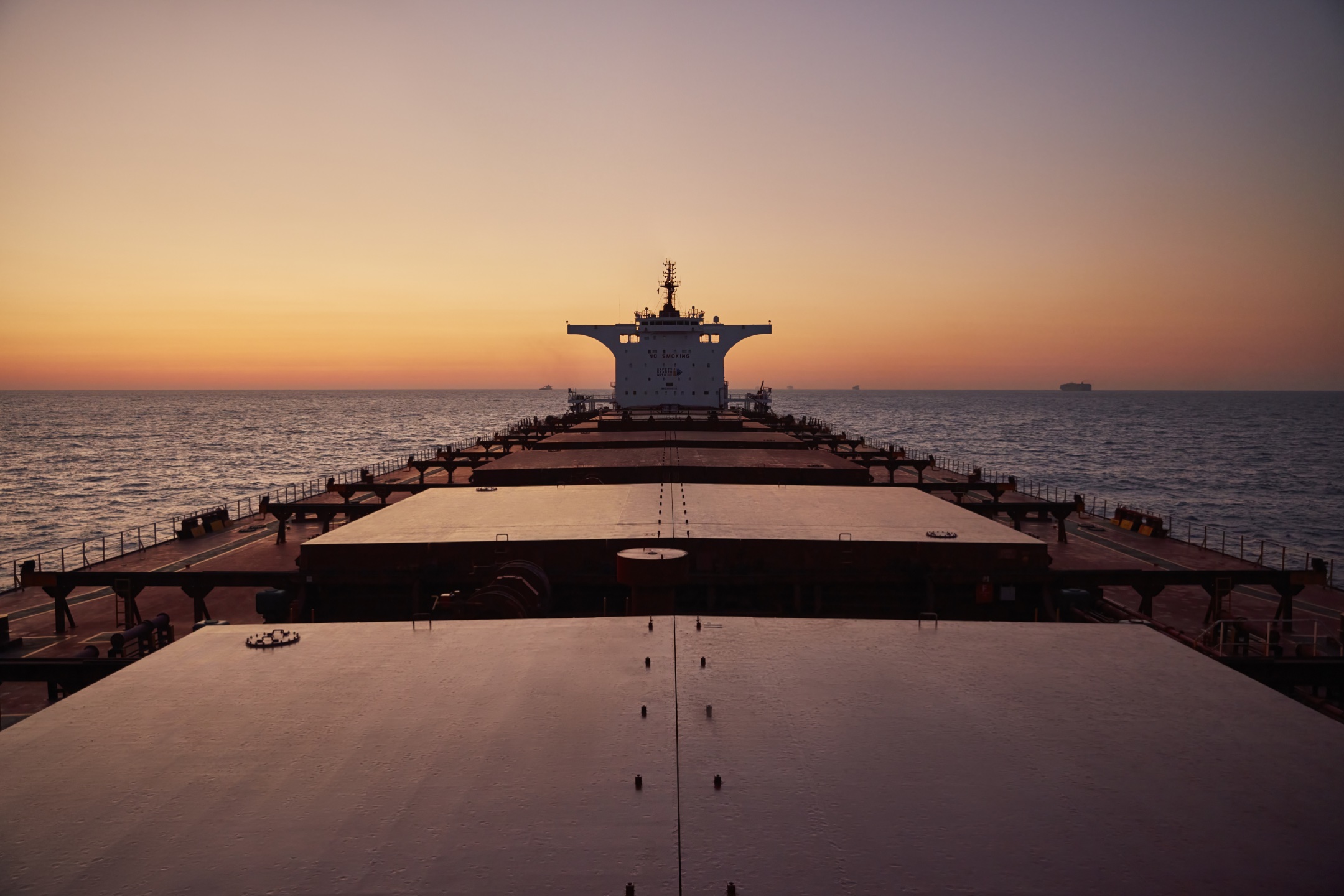 Bulk Carriers of Thenamaris designed for all major cargoes